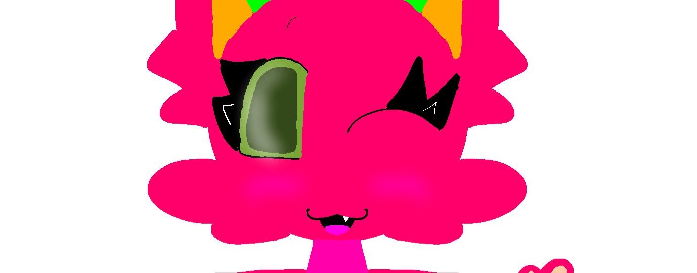 😻🩷kitty🩷😻