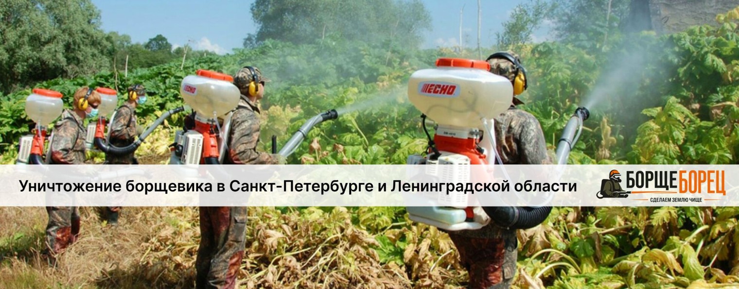 Борщеборец.рф