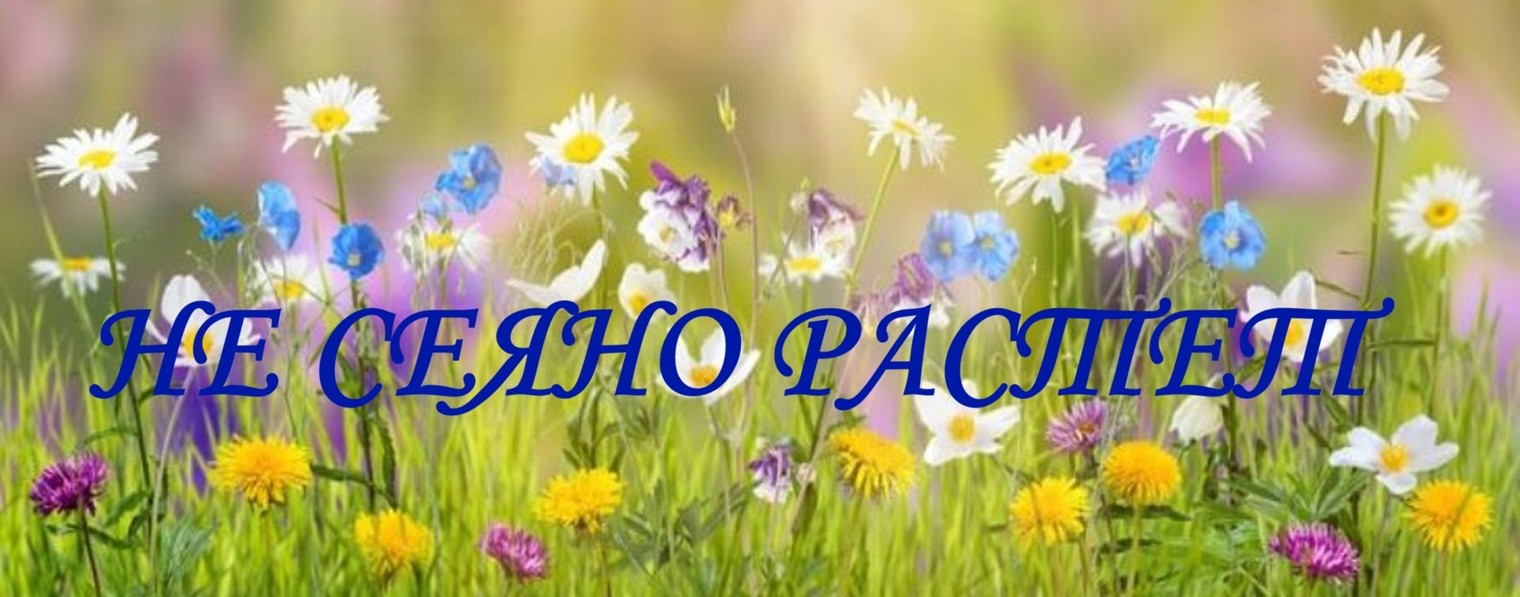 Не сеяно растет