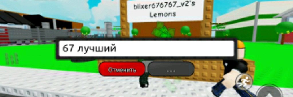 Roblox blixer676767