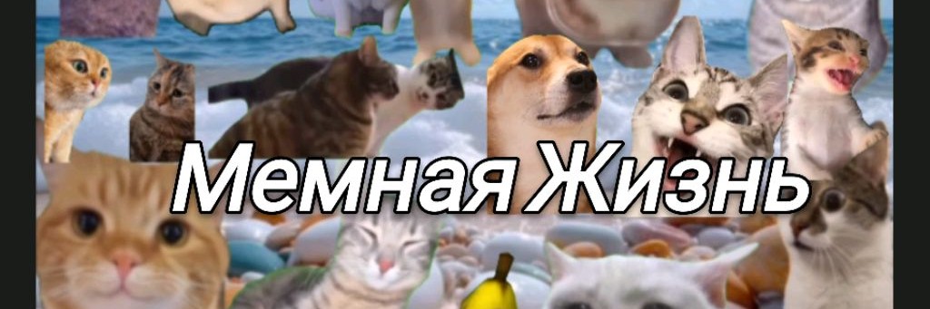 Мемная Жизнь
