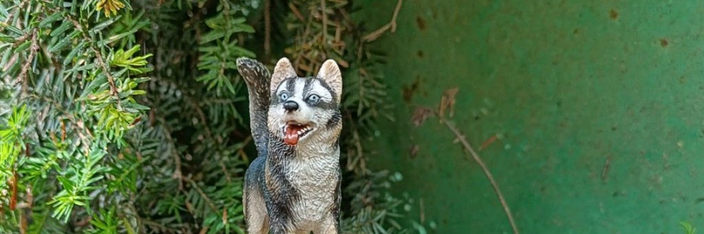 Кот Ачик (Schleich)