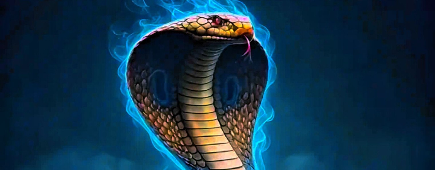 🐍Владыка Кобра 🐍