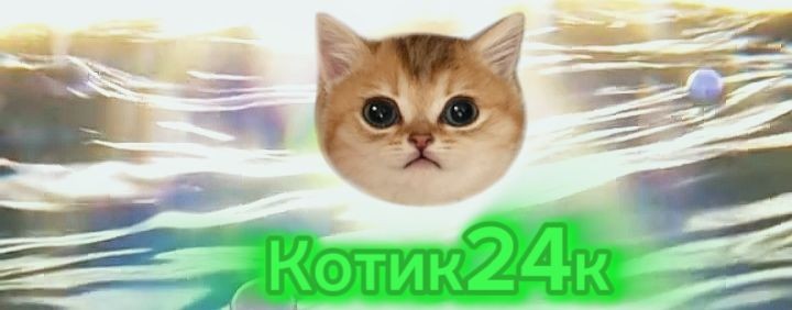 ༒︎•꧁Котик24к꧂•༒︎