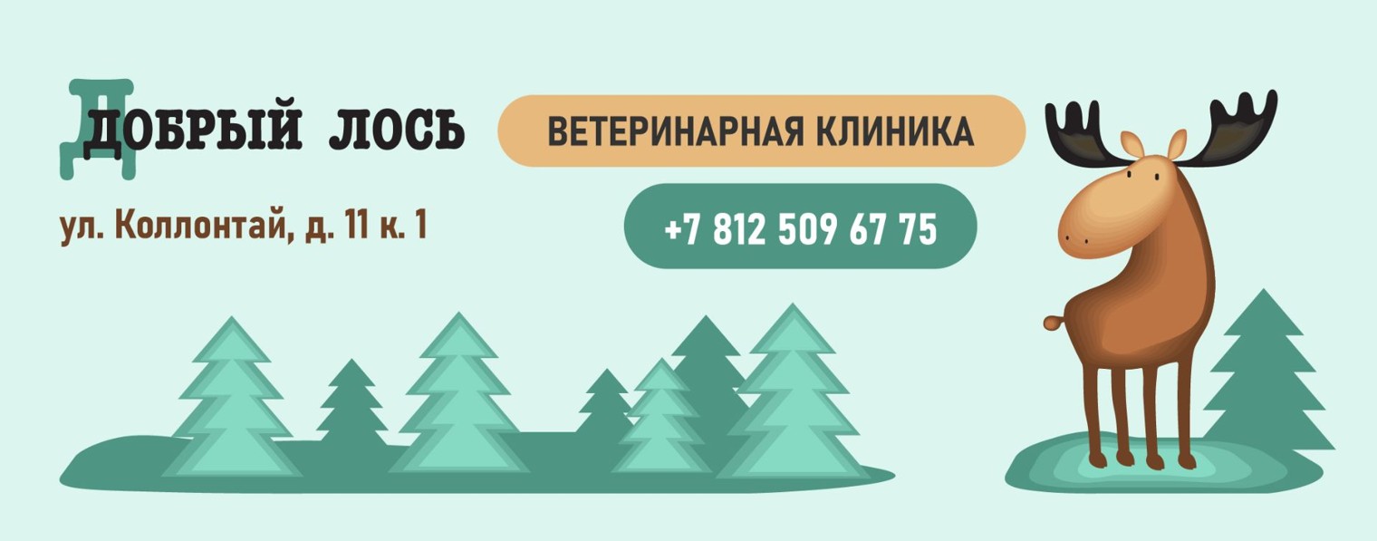 Ветклиника "Добрый лось"