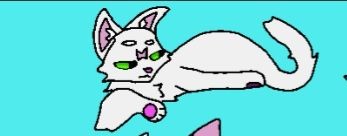 Snowy Warriors-Cats Снежа КВ ( я бывший рык )