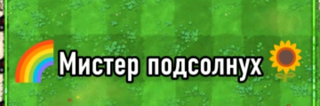🌈Мистер подсолнух🌻