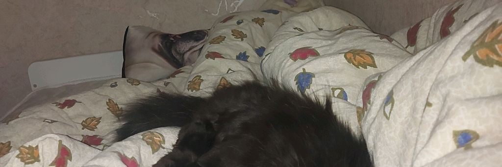 Котенко