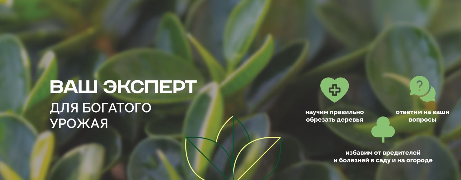 Дача без проблем
