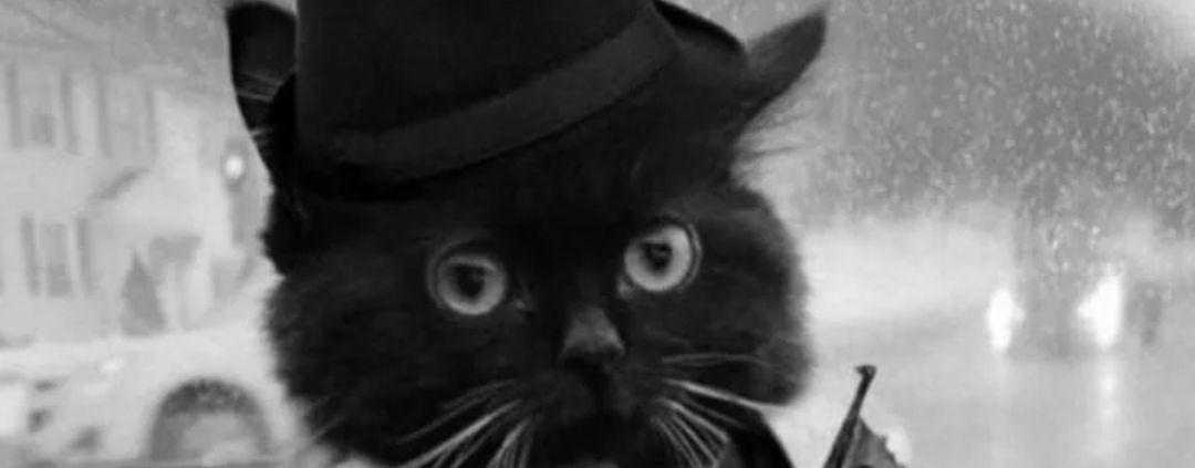Danya Trotsky