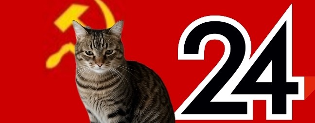 Коты-24