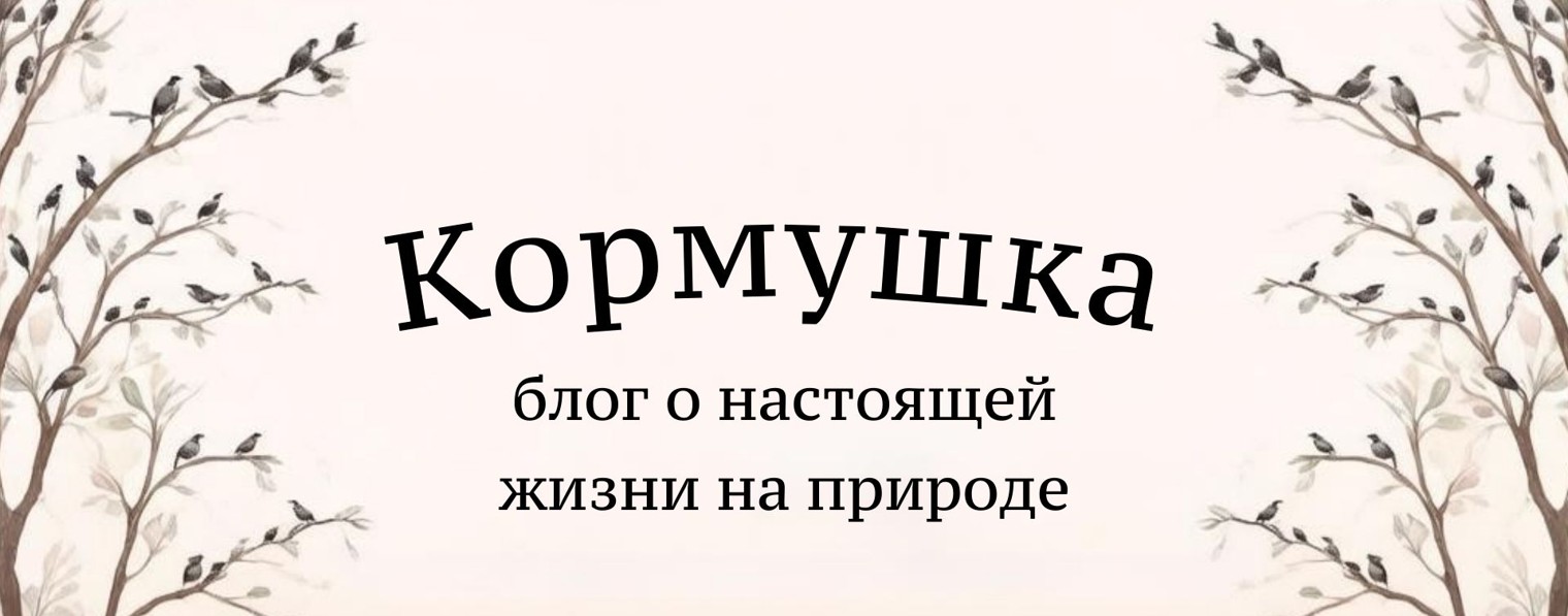 Кормушка - о птицах, козах и людях за городом