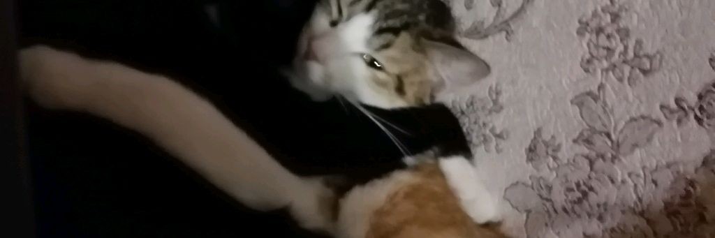 Куном♥️