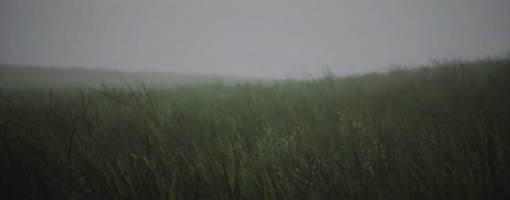 qwarzikxx