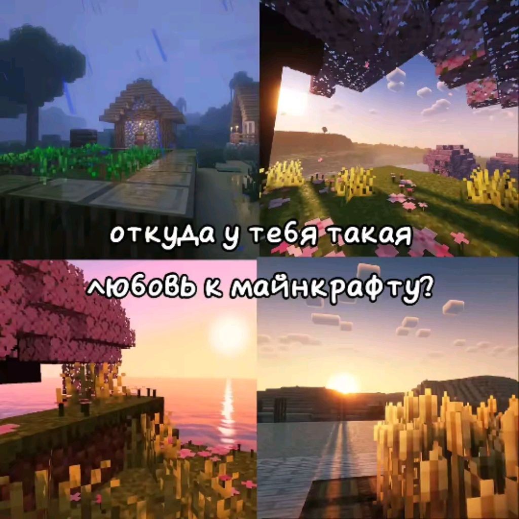MrPigvinchikMan