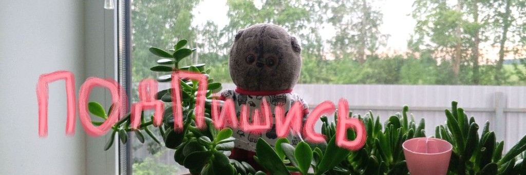 Полли Покет