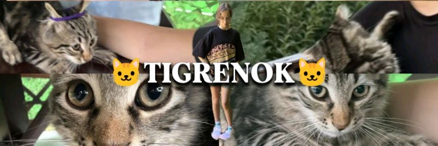 🐱TIGRENOK🐱