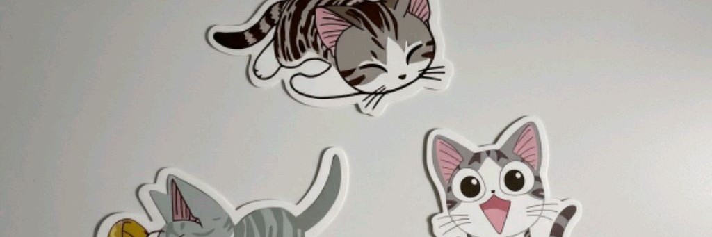 Чёрный кот