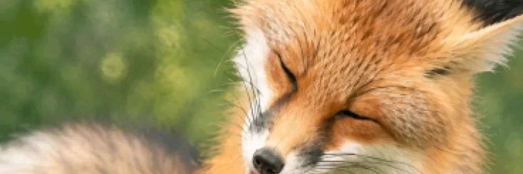 Диана 💖💗😝🤪😛😈😇