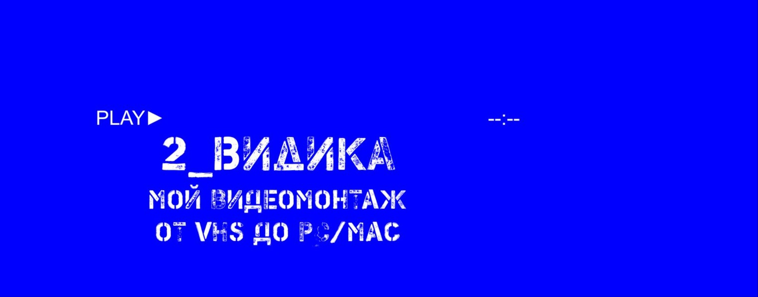 2_ВИДИКА