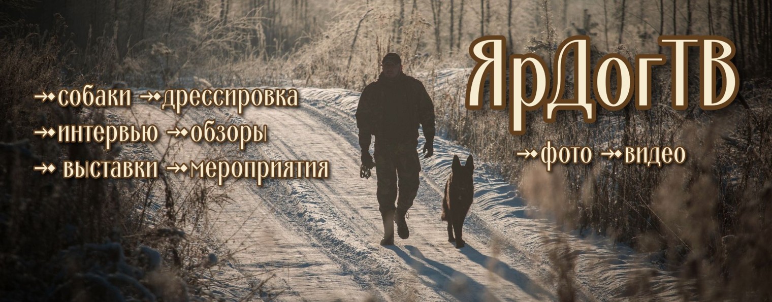 ЯрДогТВ | все о собаках и не только