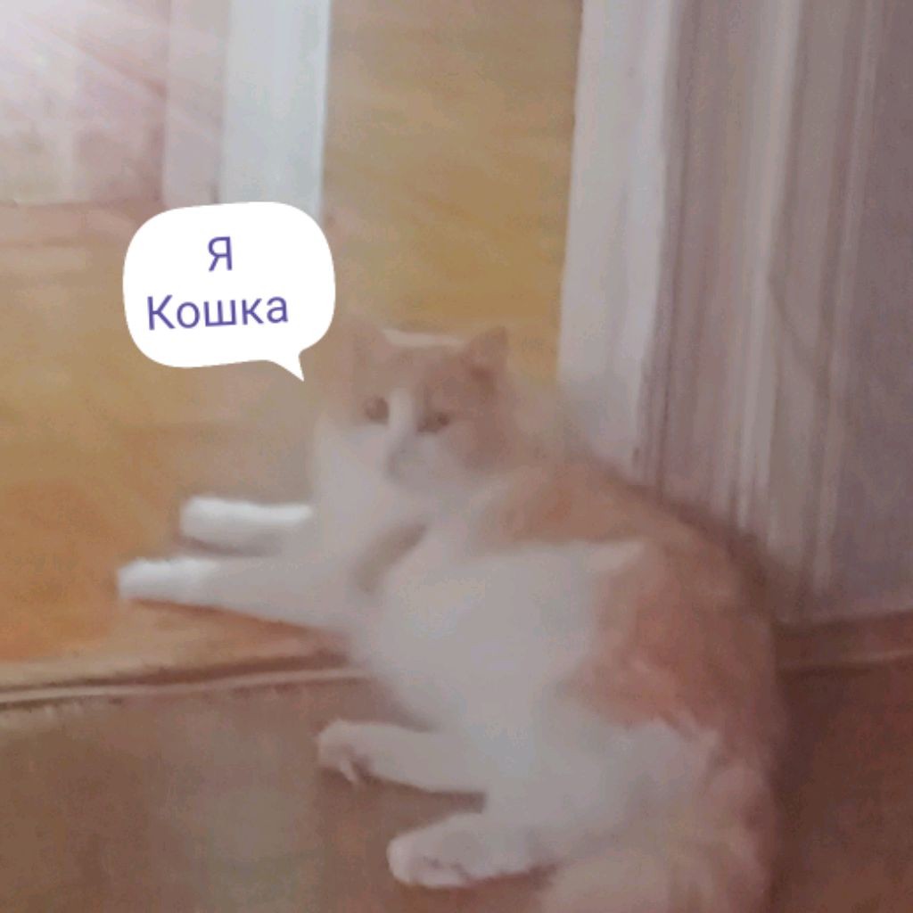 АРСЕНИЙ