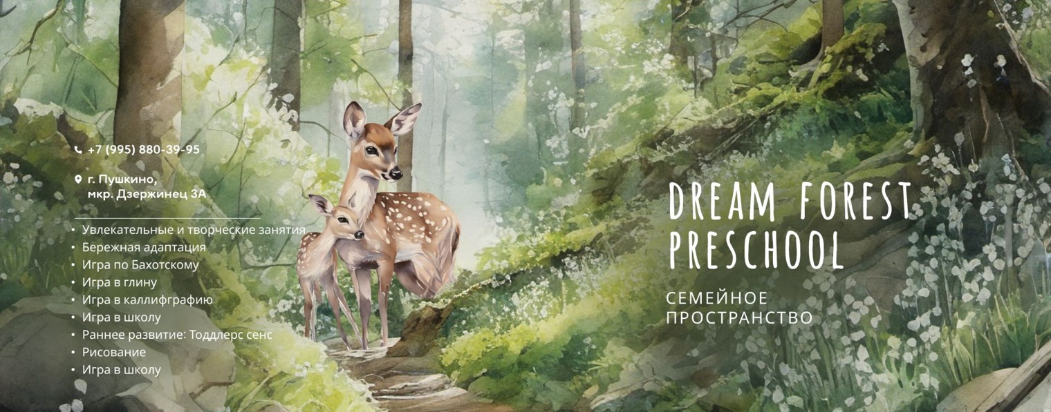 Семейное пространство Dream Forest | г.Пушкино