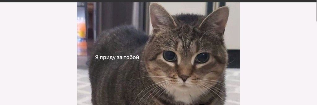 ЕЛЬКИ