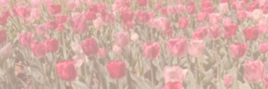 🌸_Фени _Рб_🌸