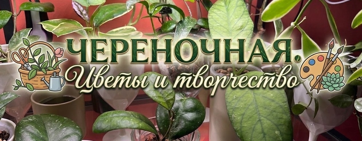 Череночная. Цветы и творчество