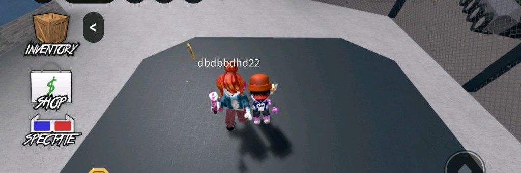 Сенфи Roblox