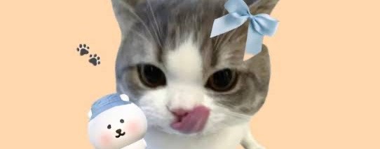 𐙚   котик_stor  𐙚