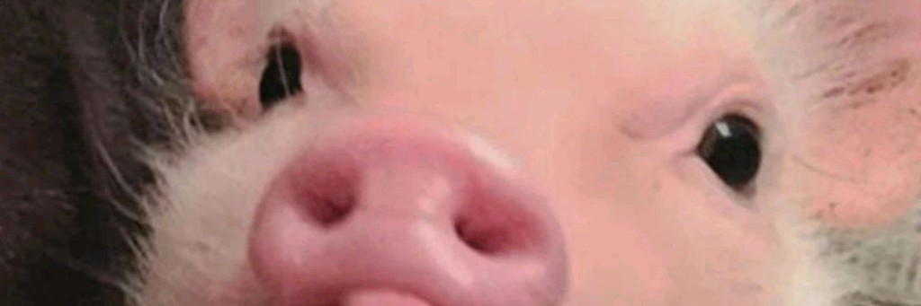 ♡~я~это~Я~♡