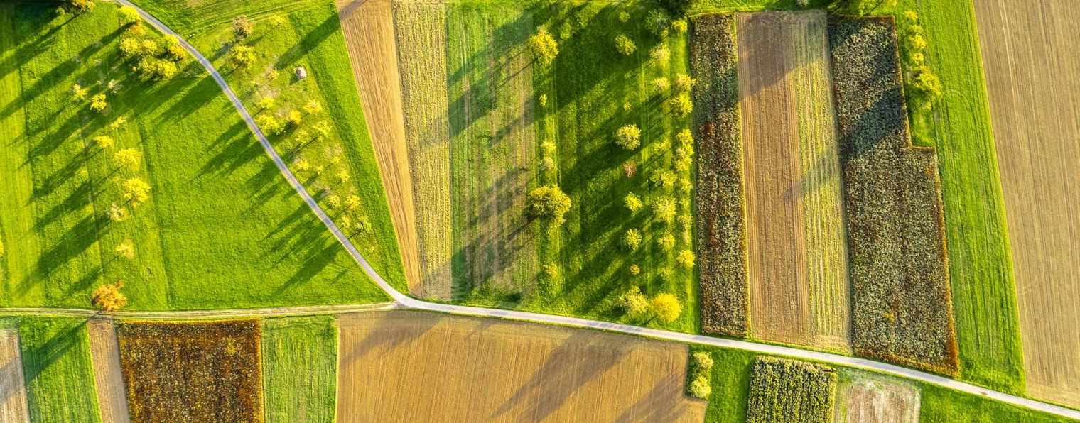 «Сингента» в России / Syngenta Russia