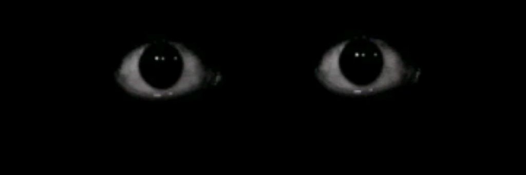 👁️🎃🍂🍁MR Стилджо🍁🍂🎃👁️