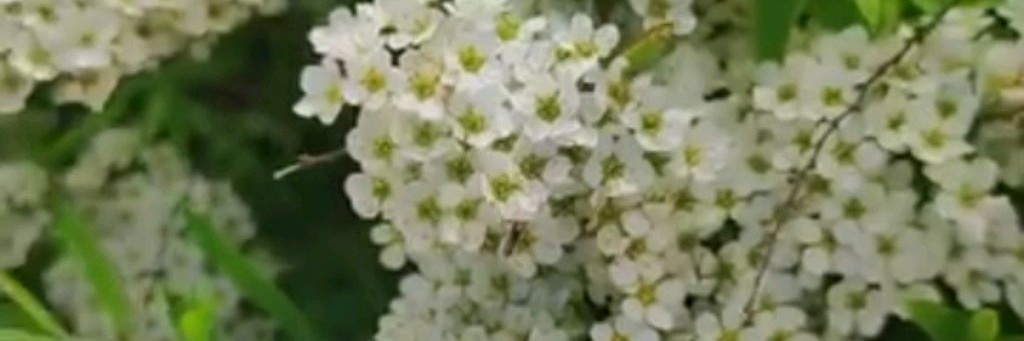 Дневник Для Агаты