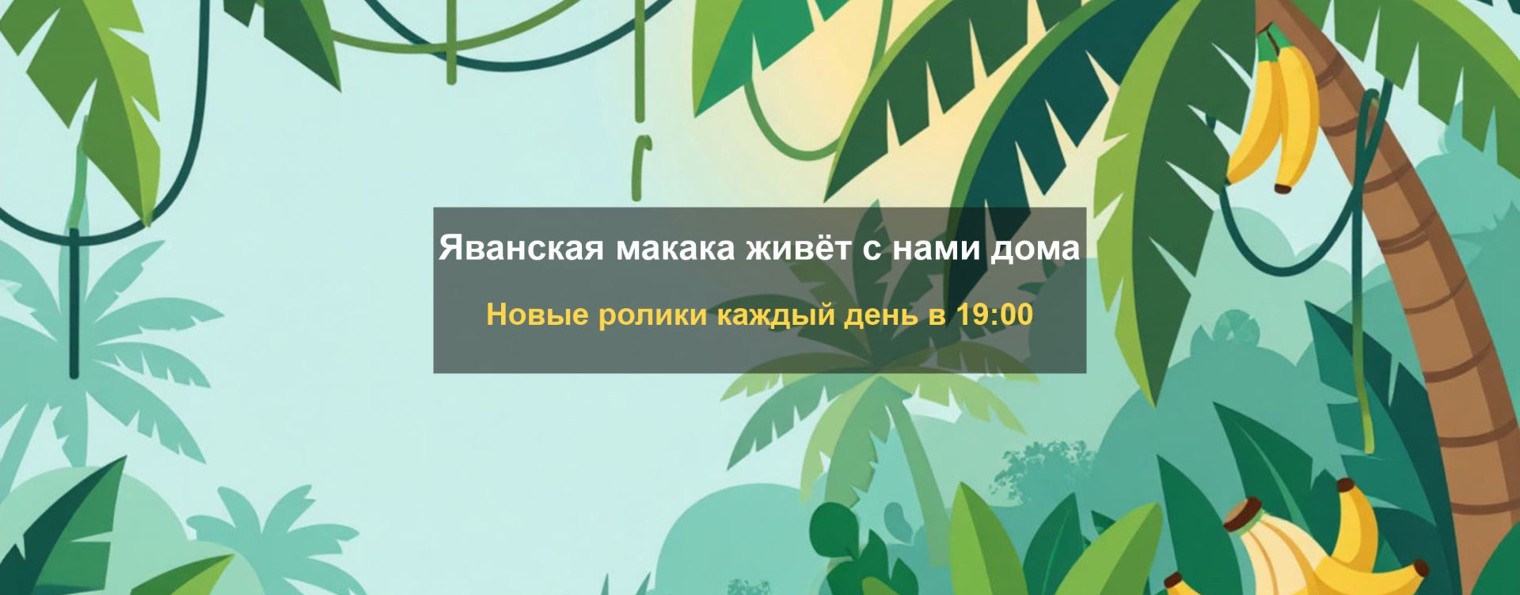 Наша Марьяша
