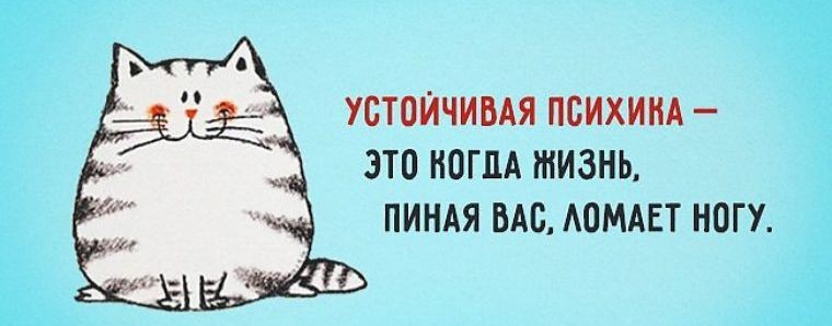 Nikalexm