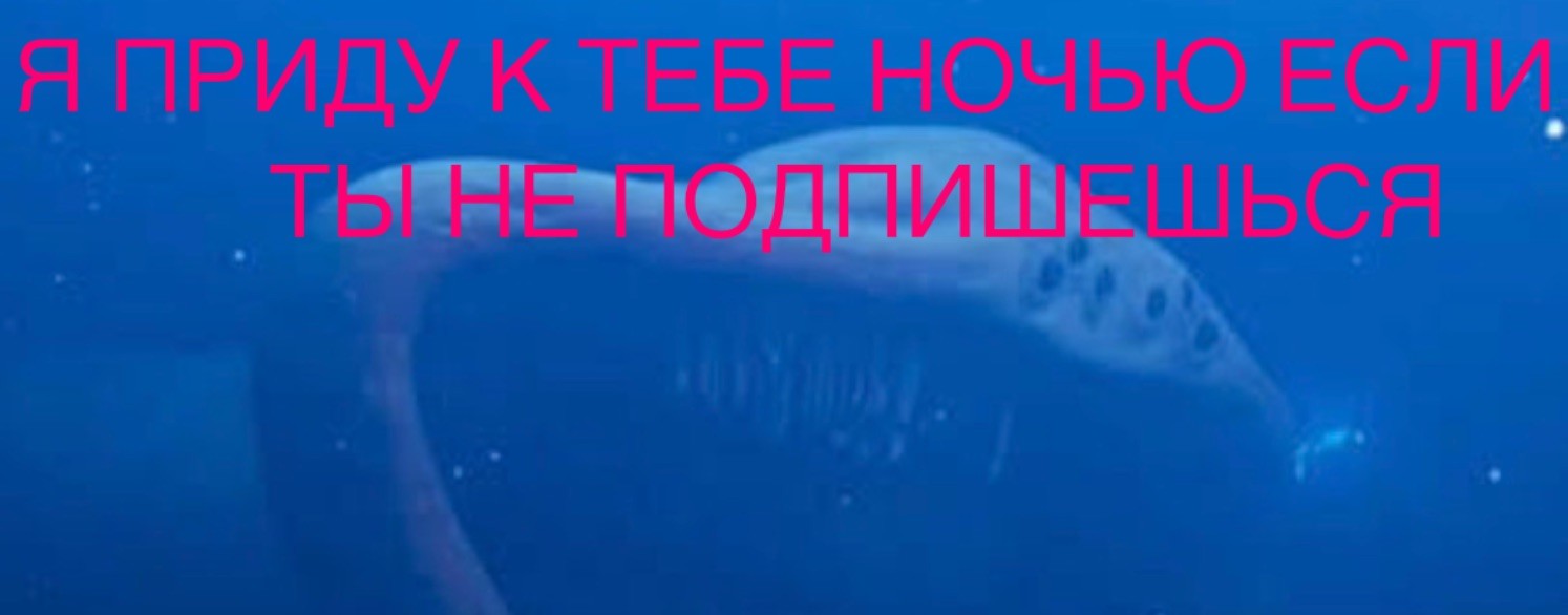 ZORK [Шарль Леклер✅]