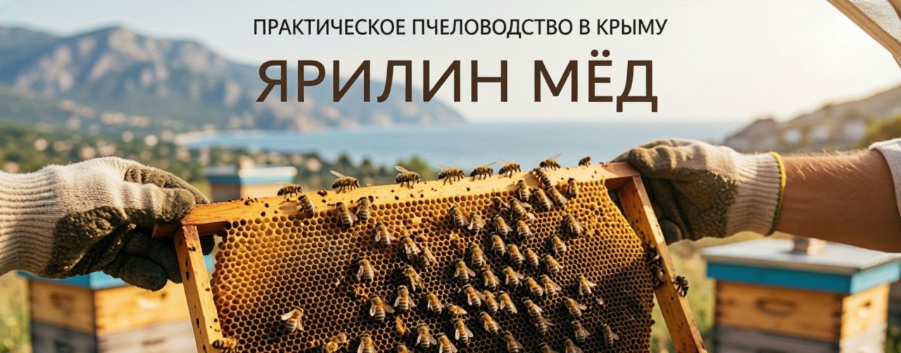 Ярилин мёд 🍯 | Практическое пчеловодство в Крыму