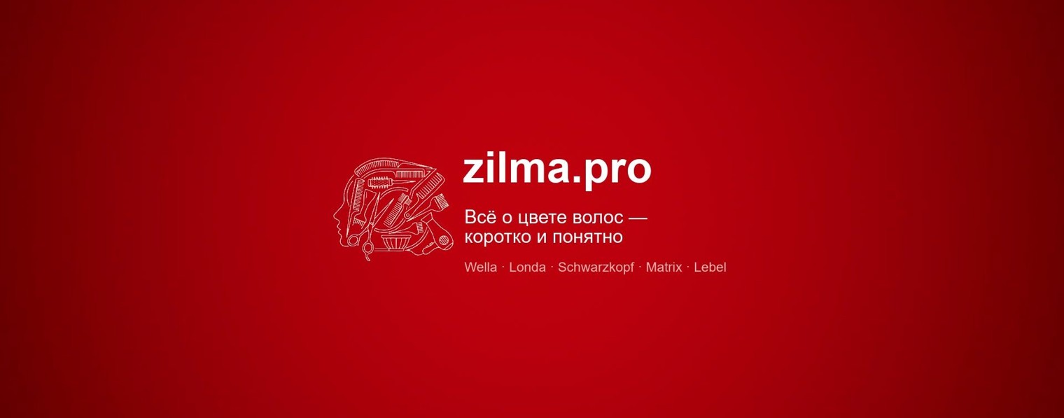 Zilma.pro