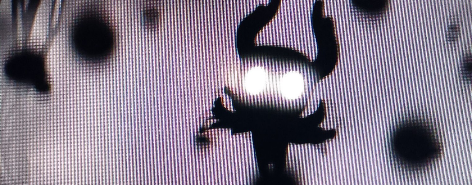 I am the hollow knight