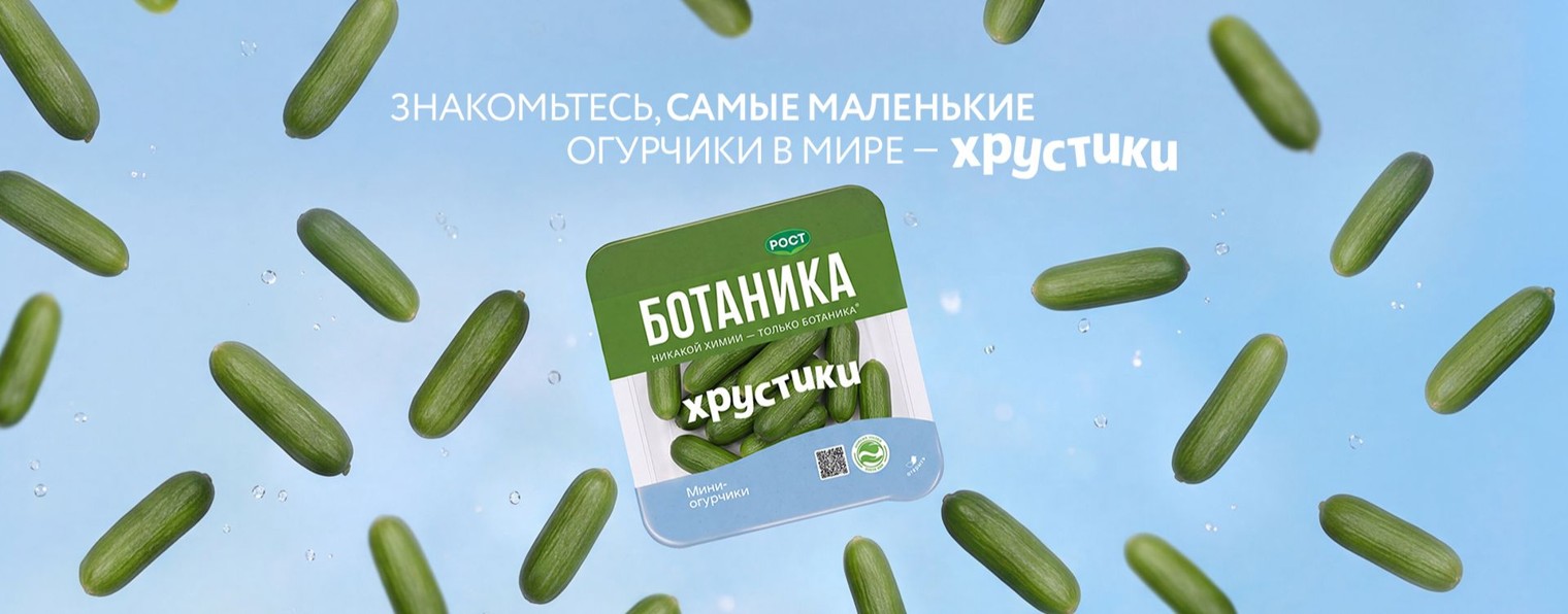 Группа компаний РОСТ