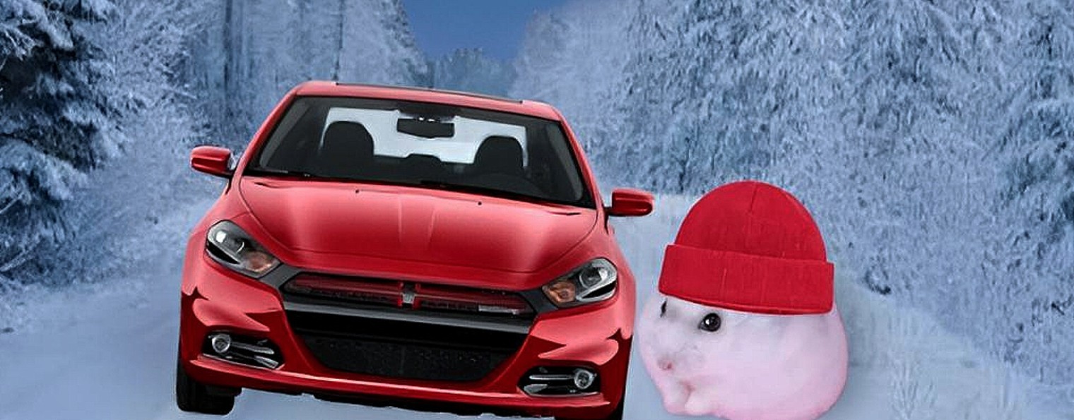 Хомяк