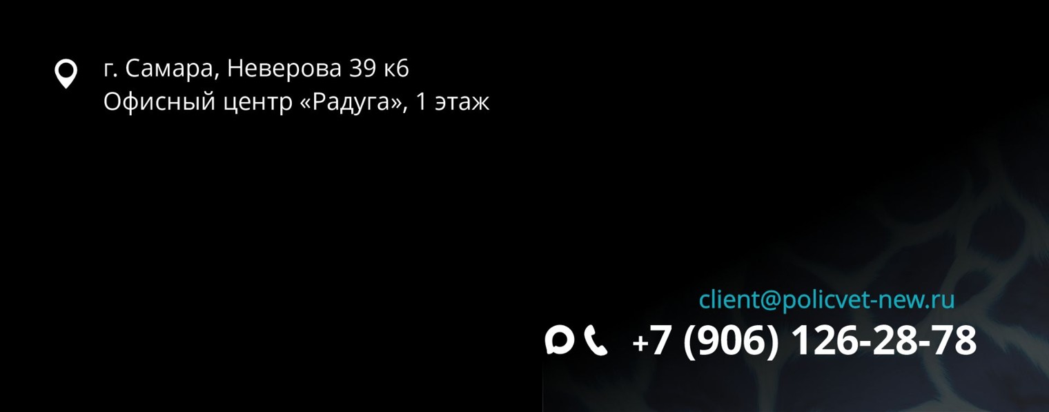 ТИПОГРАФИЯ пОЛИцвет