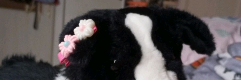 🐾🌕Лунная Essa🌕🐾