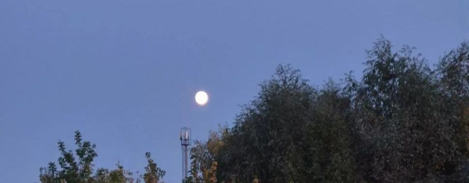 🌺Lera i Milaniya🌺