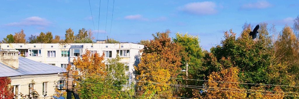 Басики. Саша Найки.