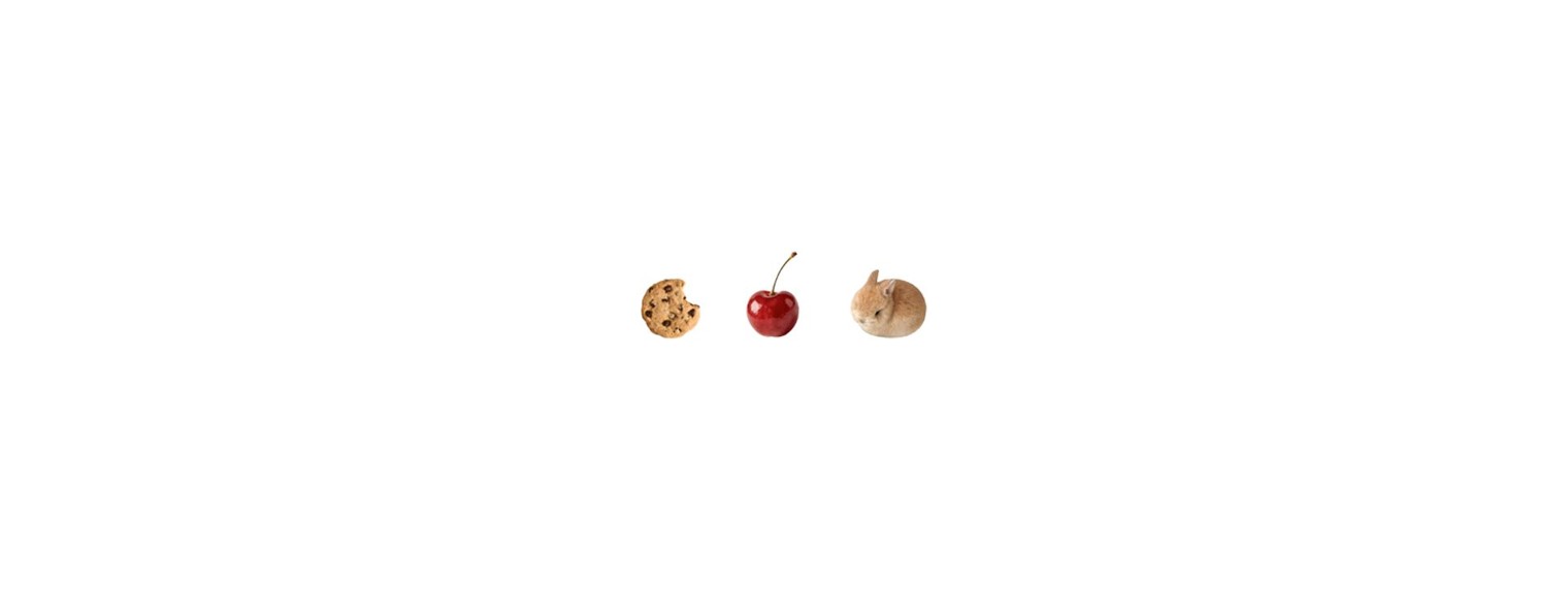 𝘢𝘯𝘯𝘢 𝘤𝘤𝘭