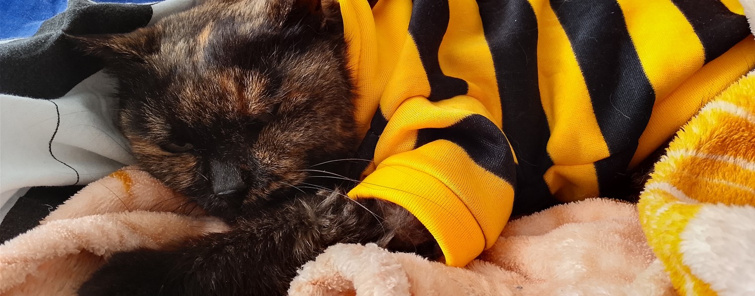 DRAILS.LAB